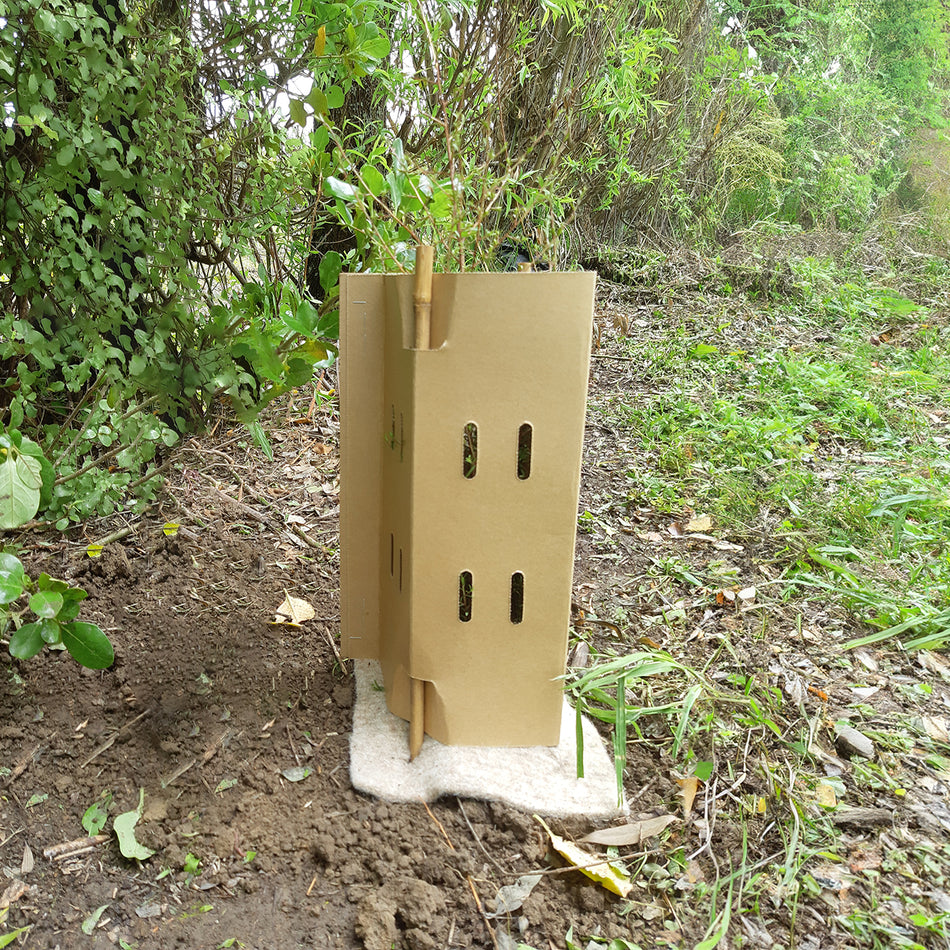 Ecoshield Plant Guard – Landscape and Grower Supplies Ltd